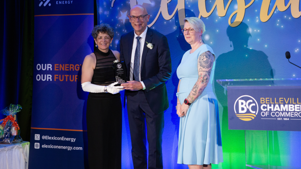 Cornerstone Visionary Award 2025 - SDS RiskAssist